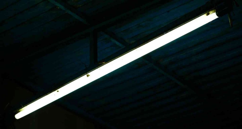 13 Best LED Tube Lights in India (February 2025) – Buying Guide